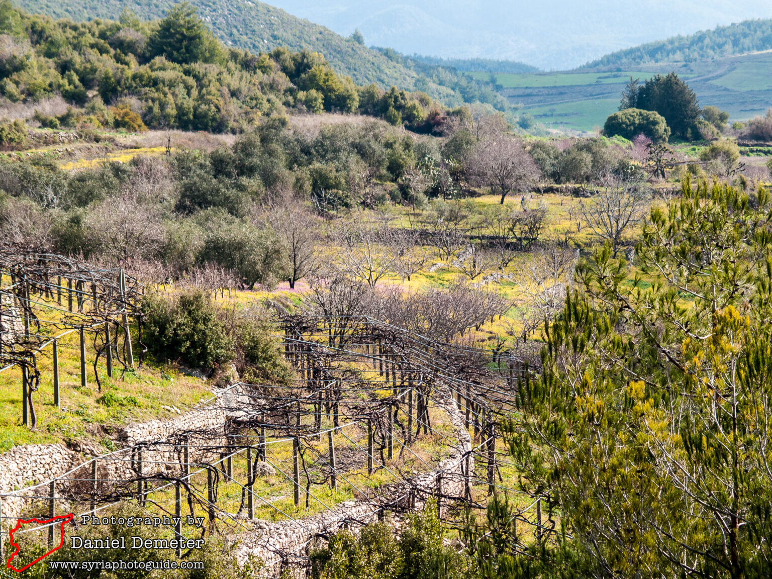 Kassab كسب – Syria Photo Guide