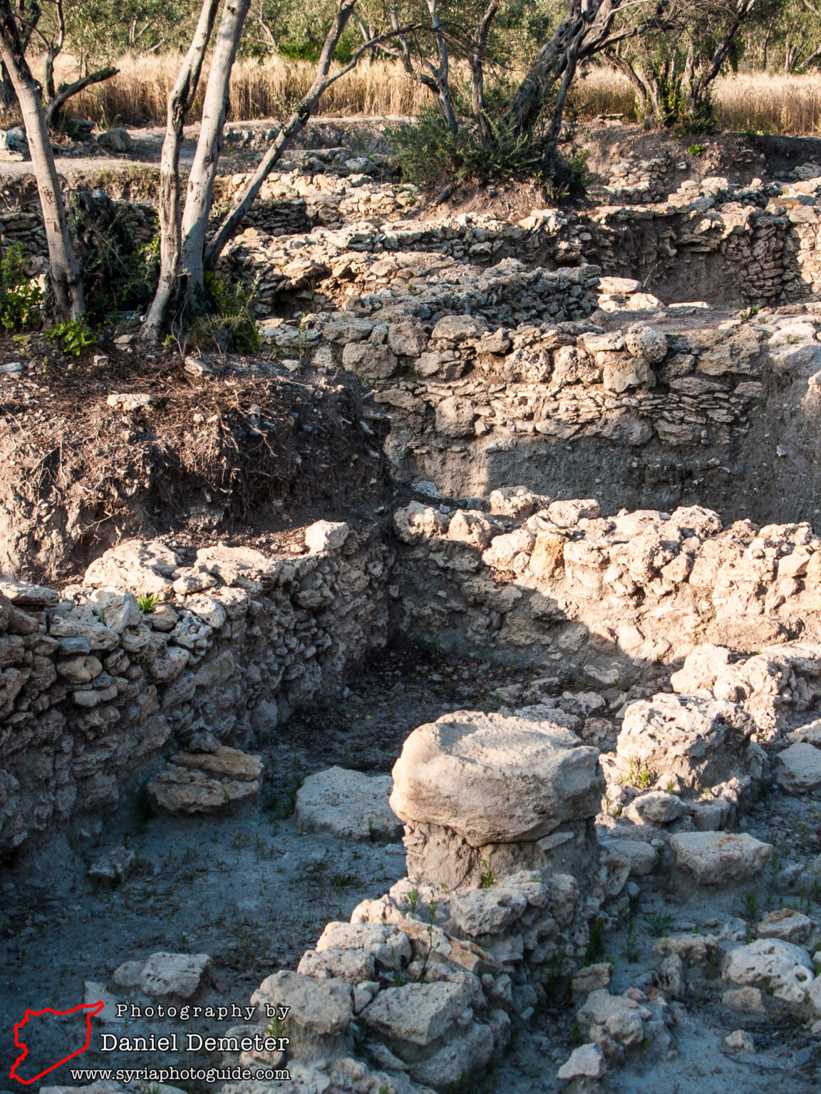 Jableh جبلة – Syria Photo Guide