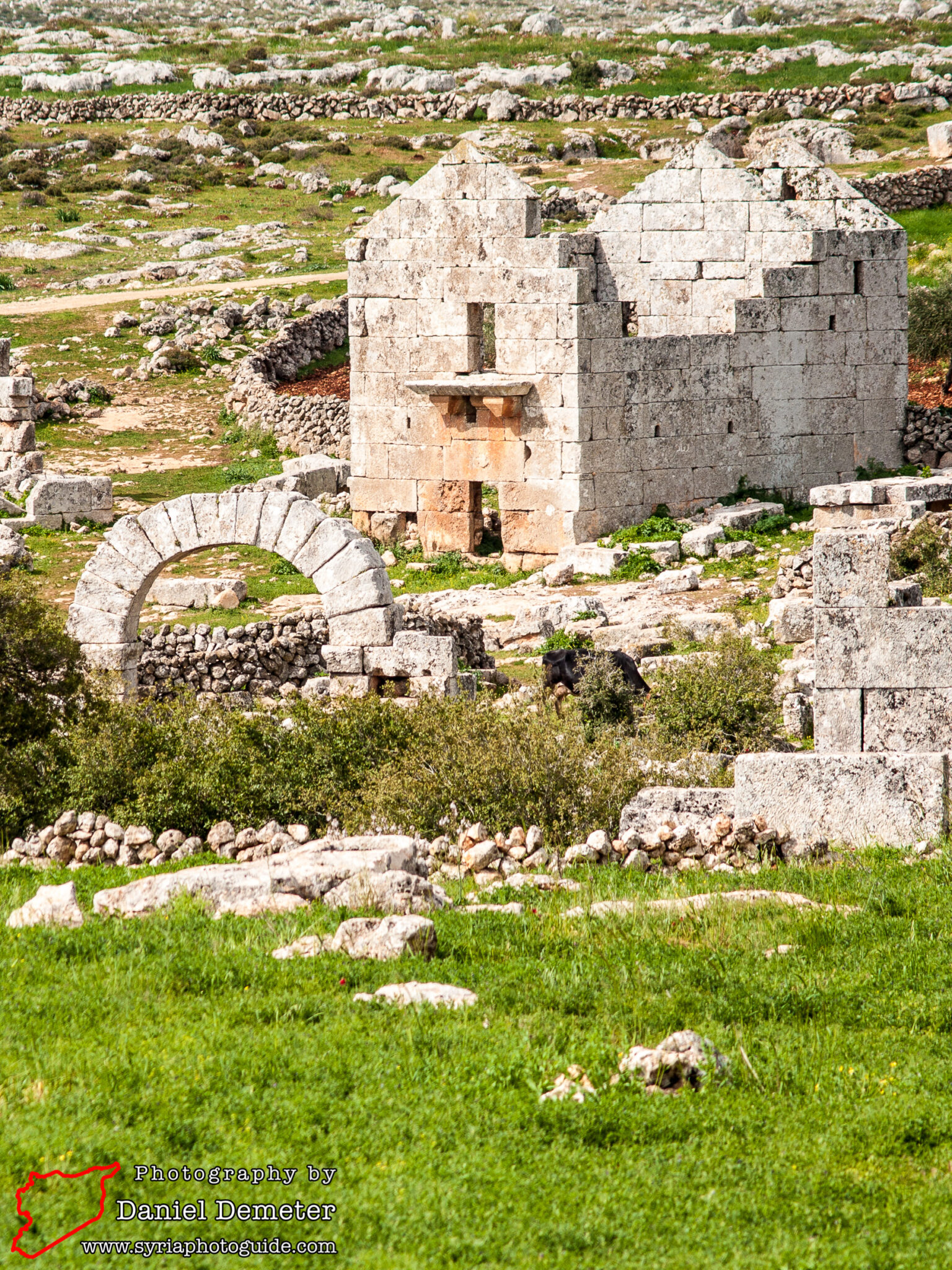 Serqaniya سرقانيا – Syria Photo Guide