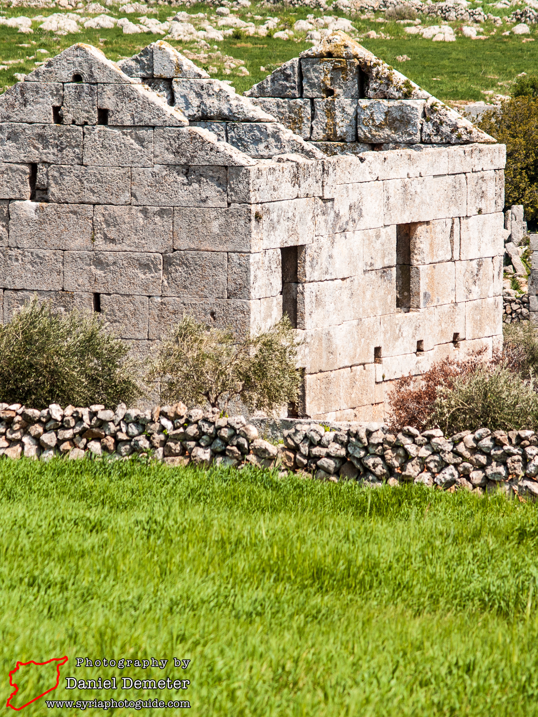 Serqaniya سرقانيا – Syria Photo Guide