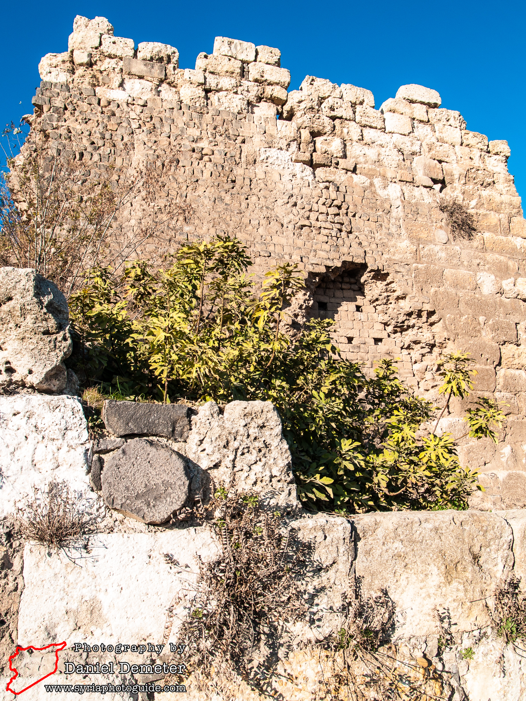 Homs – Citadel & City Walls حمص – القلعه و جدران المدينه – Syria Photo ...
